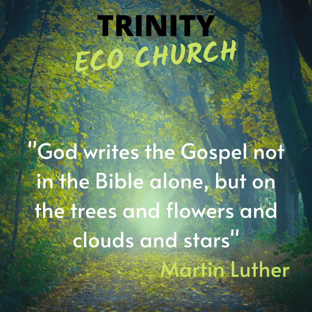Caring For God’s Earth – Trinity Methodist Church and Community Hub